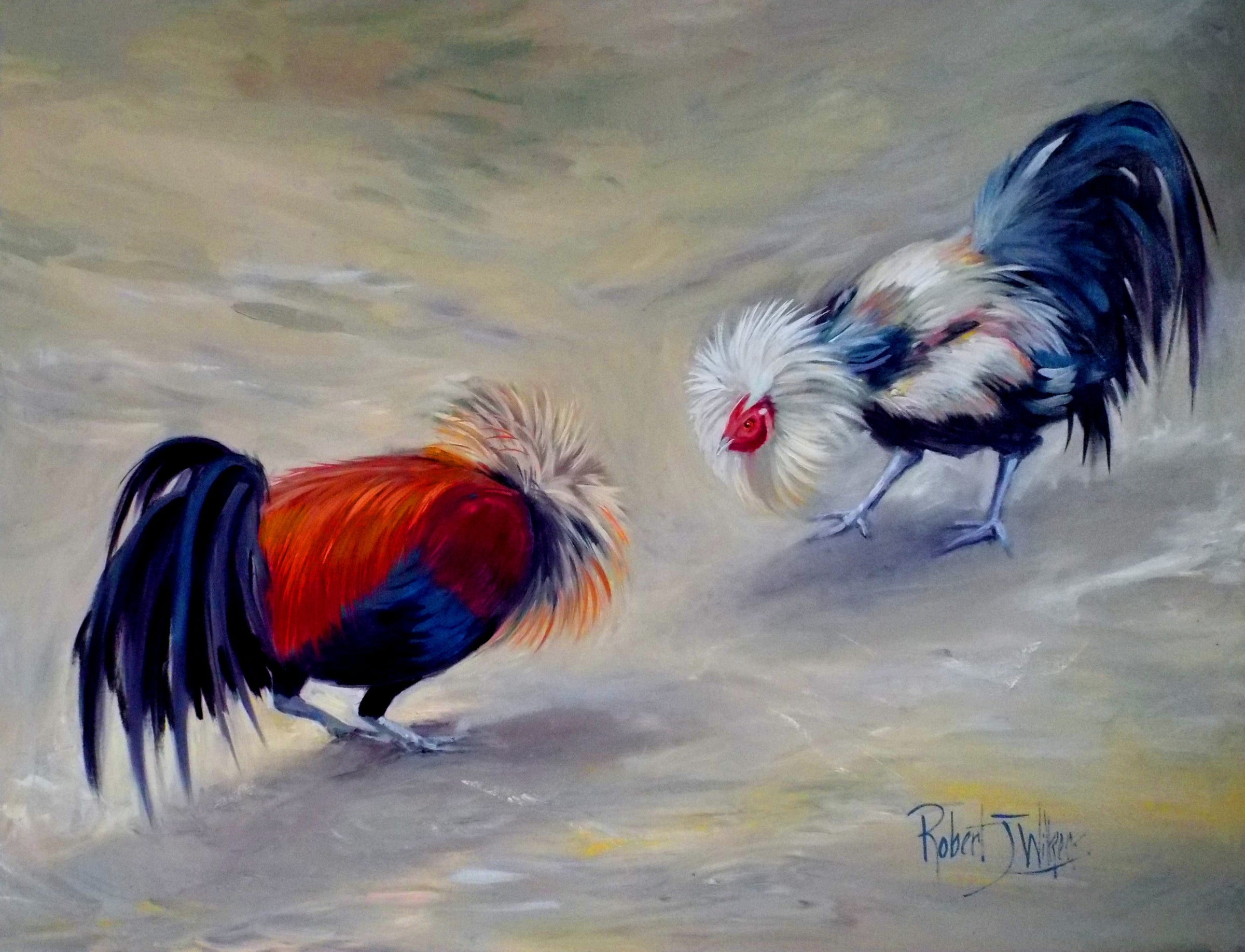 draw with rob rooster